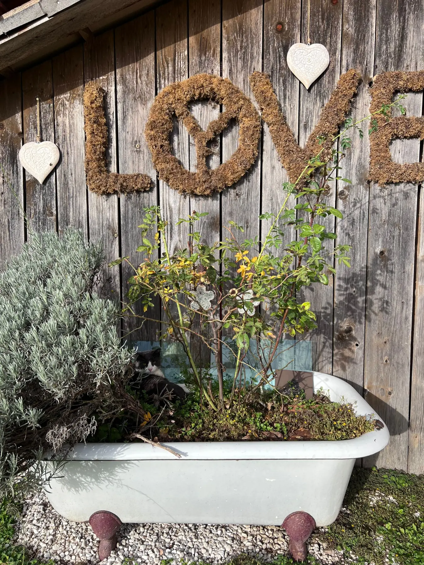 Willkommen auf der Website von Just Nature in Bad Camberg